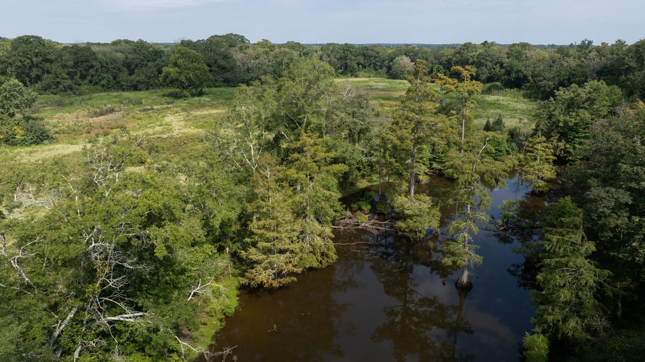 The Pearl River 103 | Leake County | Carthage, MS